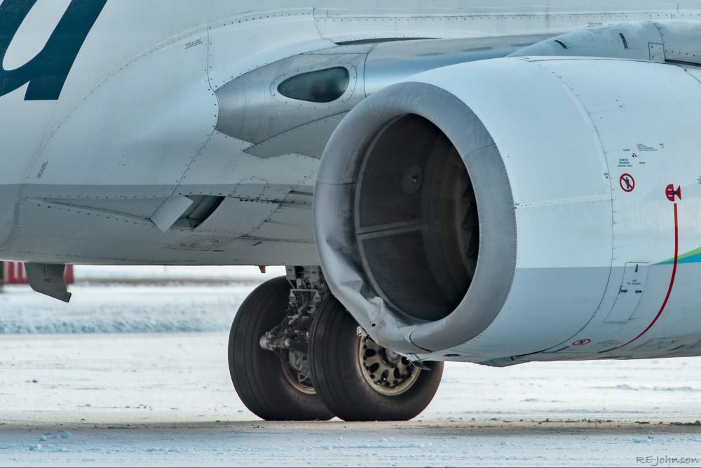 Jetliner hits brown bear after landing at Alaska airport - National ...