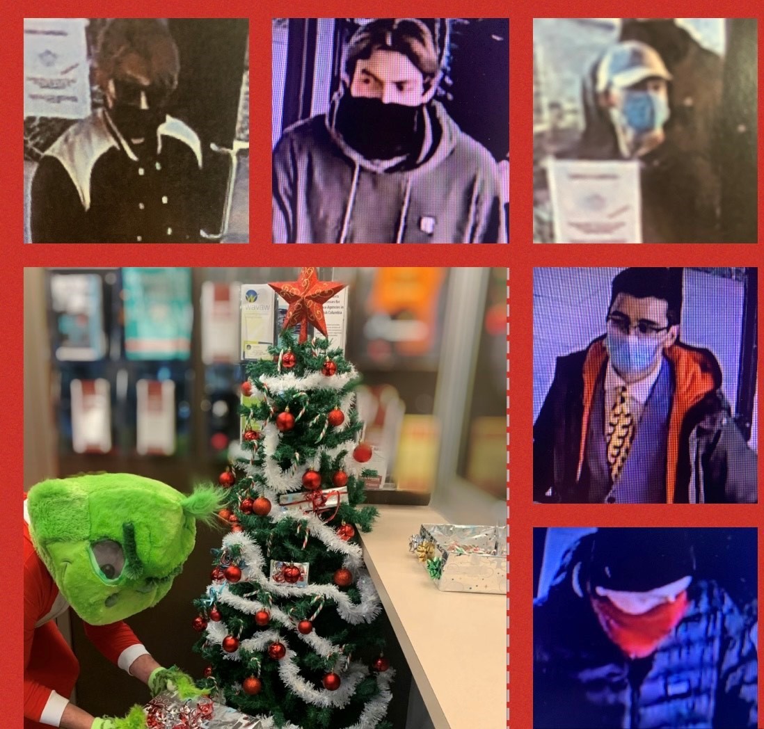 Police seek 5 men seen on video taking UBC Christmas tree and stuffing ...