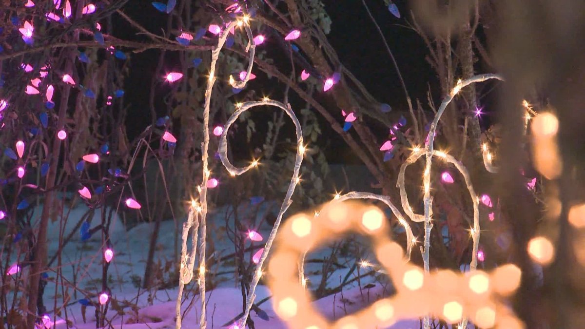 Edmontonians flock to see Christmas lights during a very dark year ...
