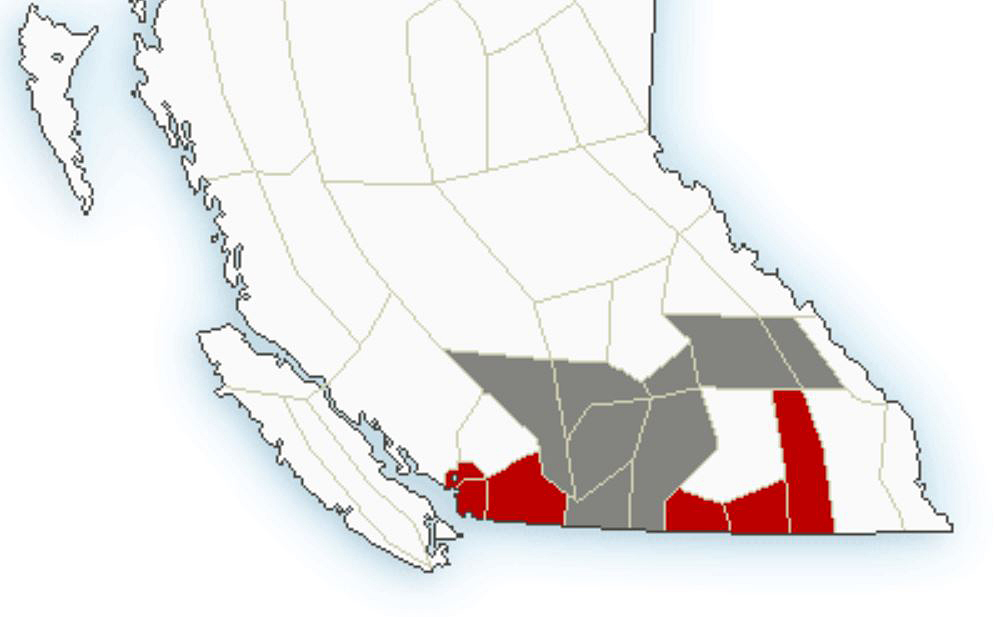 Snowfall, winter storm warnings issued for mountain highways for B.C.’s ...