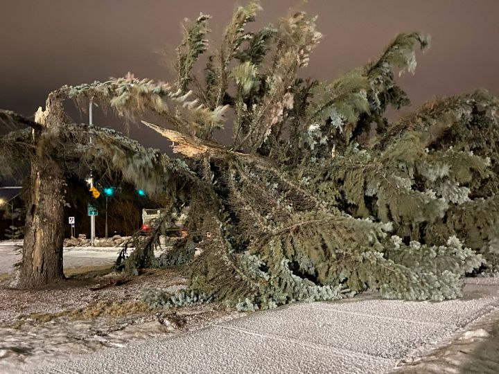 Cleanup underway after wild wind storm rips through Edmonton region ...