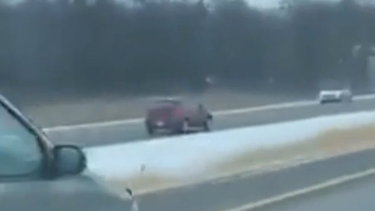 Wrong-way driver on Highway 401 near Belleville, Ont., charged with ...