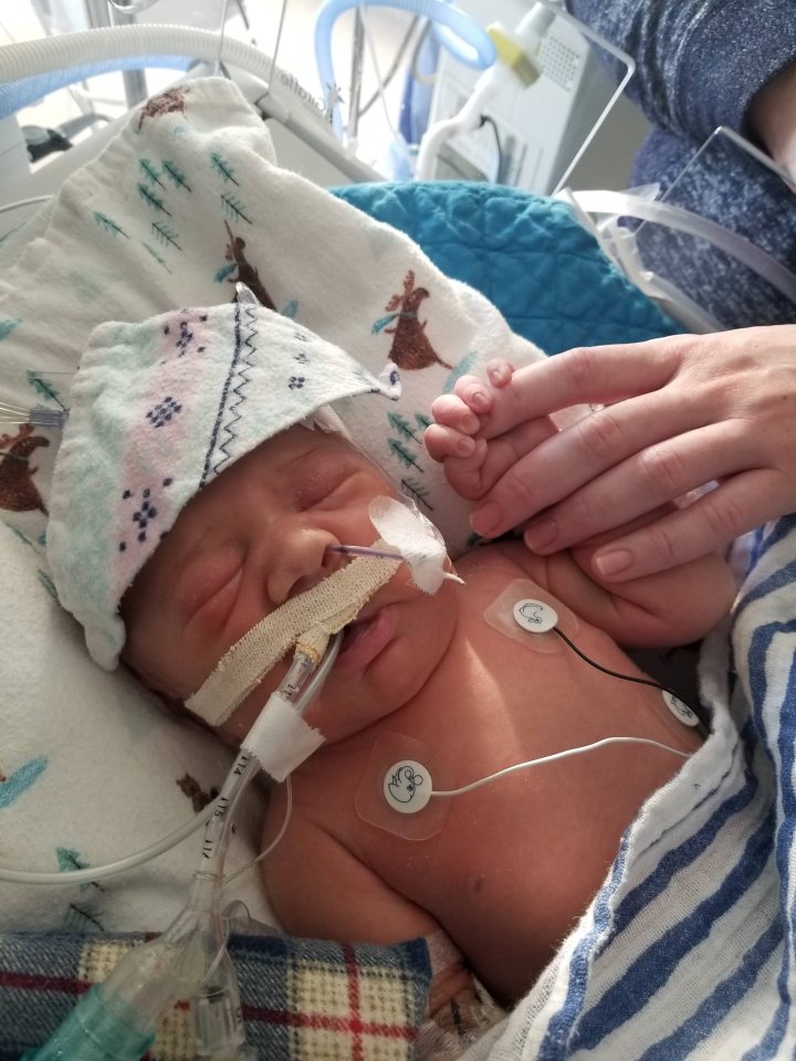 Halifax family raising awareness of infant congenital heart defects for ...