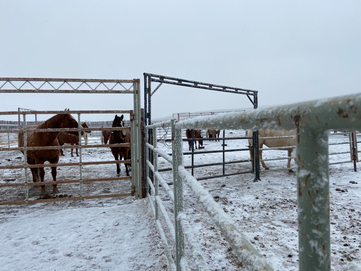 ‘It’s sickening’: Future generation worried about inheriting legacy of ...