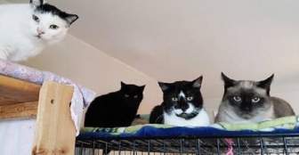 GlobalNews - Staff Personalities | Miranda Anthistle