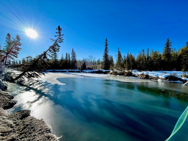 Calgary sets a new record high temperature for March 14 - Calgary ...