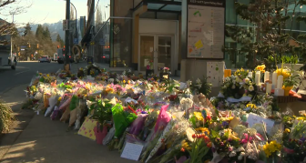 Lynn Valley | News, Videos & Articles