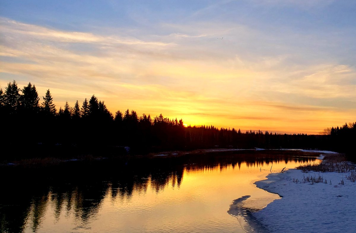 Your Saskatchewan photo of the day: April 2021 | Globalnews.ca