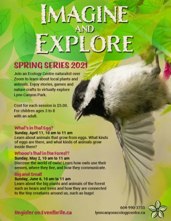 Imagine and Explore Online Series: What’s In That Egg? - GlobalNews Events
