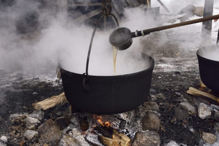 Woman accidentally sets field, swamp on fire while making maple syrup ...