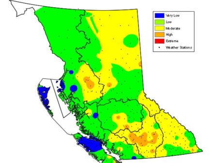 BC Wildfire says May a great month to start fire-proofing properties ...