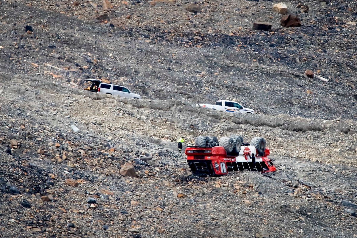 Columbia Icefield tour bus company relaunches with seatbelts nearly a ...