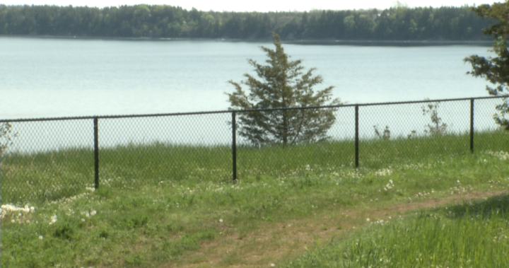 Little Bluff Conservation Area to reopen after nearly a year of being ...
