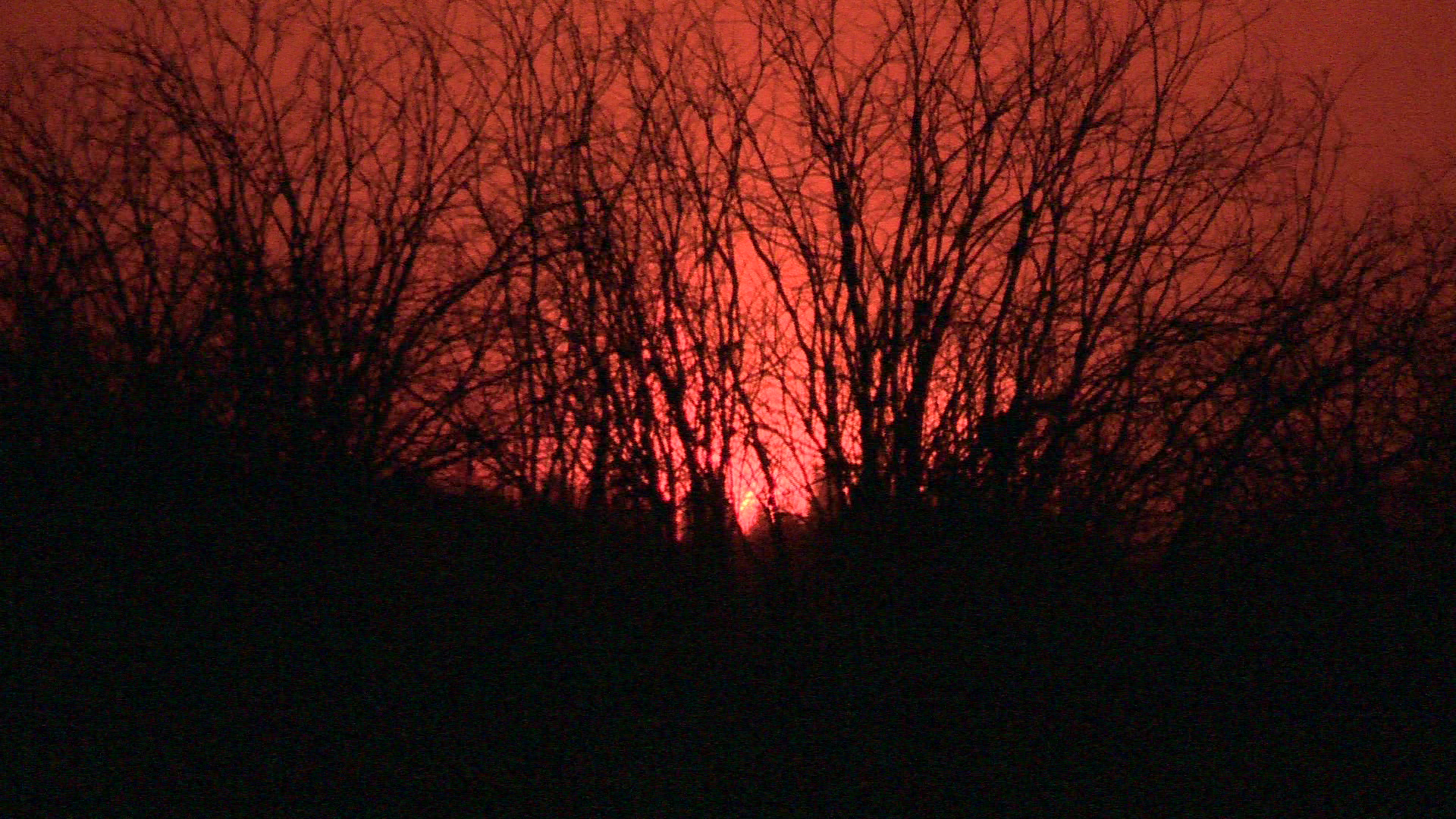 Evacuation order in Parkland County as wildfire rages west of Edmonton ...