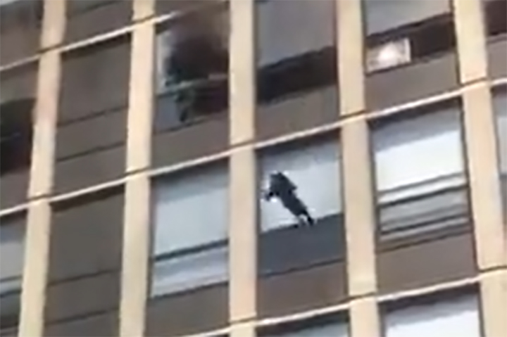 Cat survives fifth-floor jump from window of burning building ...