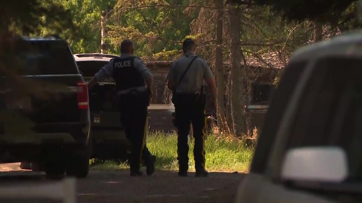 Baby boy, young girl found dead after house fire near Buck Lake in ...