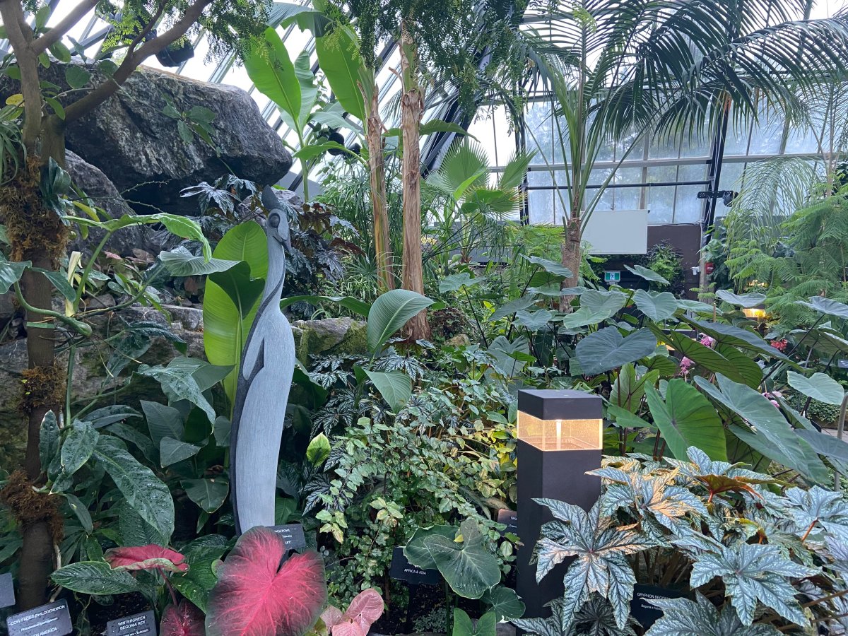 Muttart Conservatory reopens Friday after $13M rehabilitation project ...