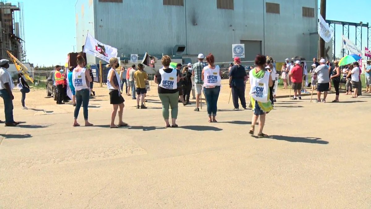 Lockout for unionized CESSCO employees in Edmonton reaches 1 year ...