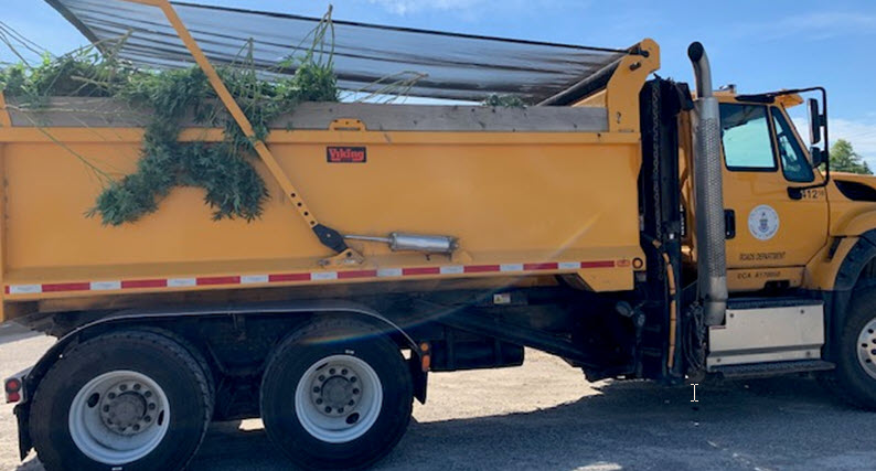 OPP seize $4.5 million in illegal cannabis in Fergus, Ont. | Globalnews.ca