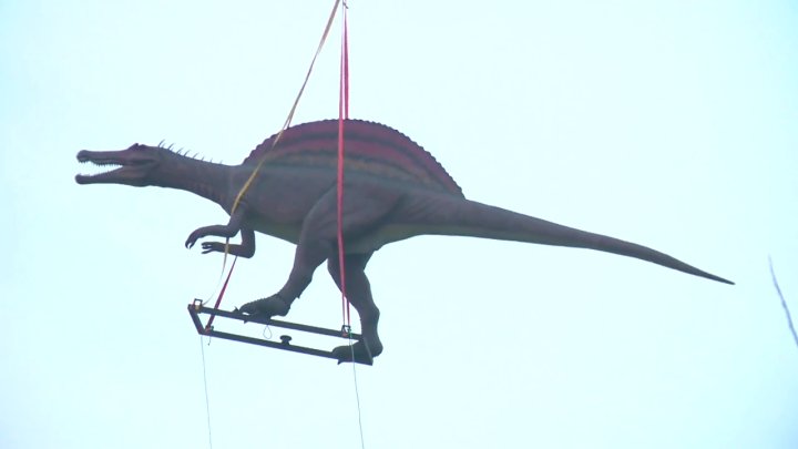 Soaring spinosaurus: New dinosaurs flown into Jurassic Forest north of ...