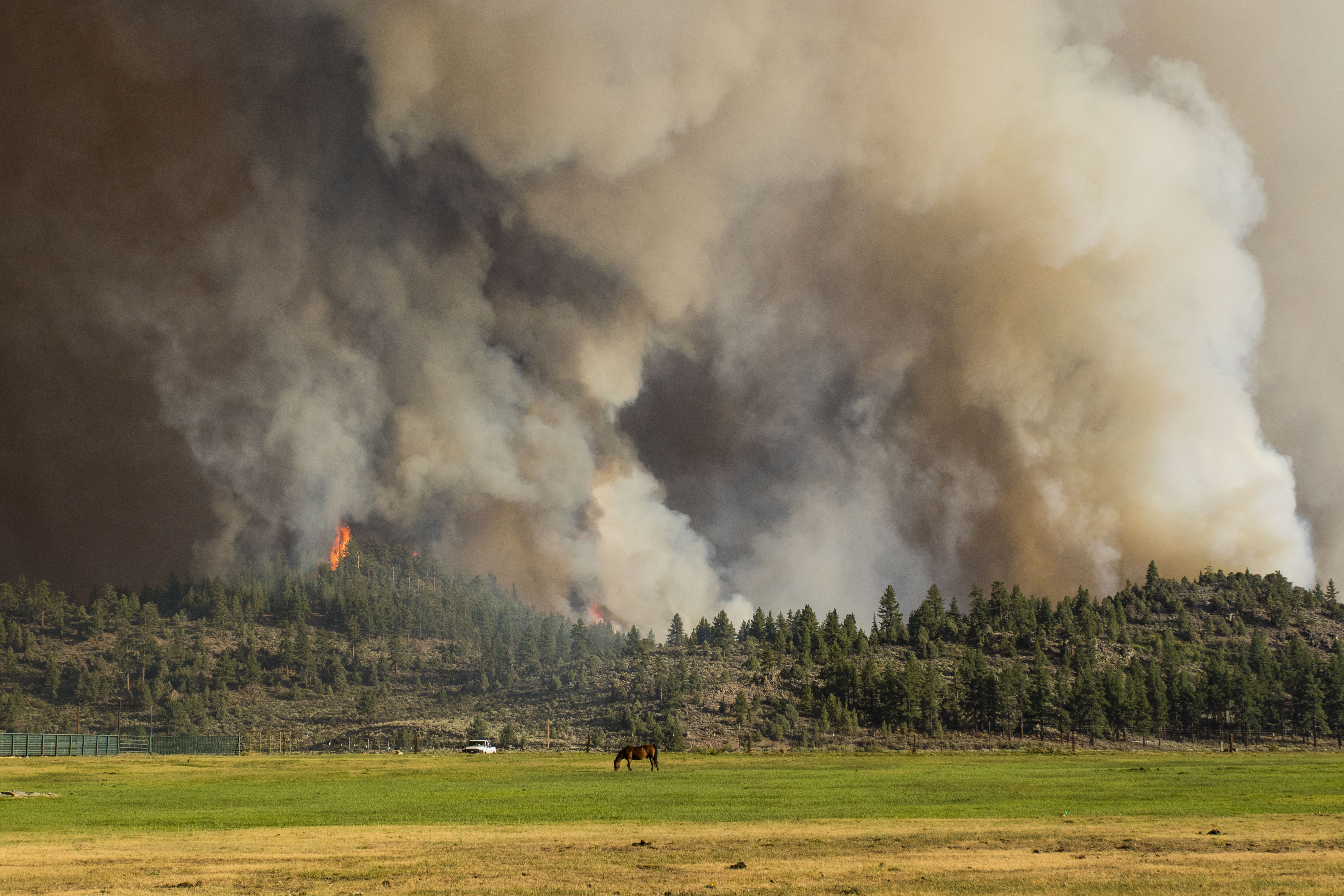 U.S. states draw outside support as wildfires blast through West ...