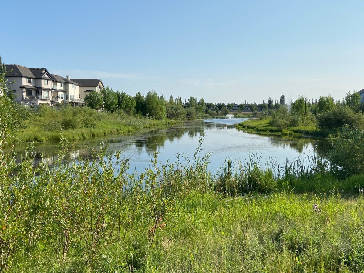 Edmonton to let more green space revert to its natural state - Edmonton ...