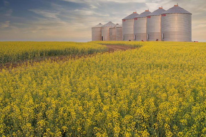 Your Saskatchewan photo of the day: August 2021 | Globalnews.ca