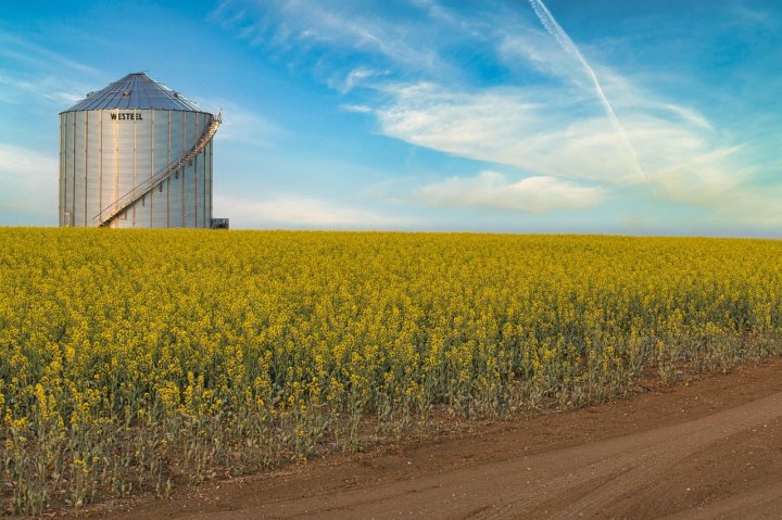 Your Saskatchewan photo of the day: August 2021 | Globalnews.ca