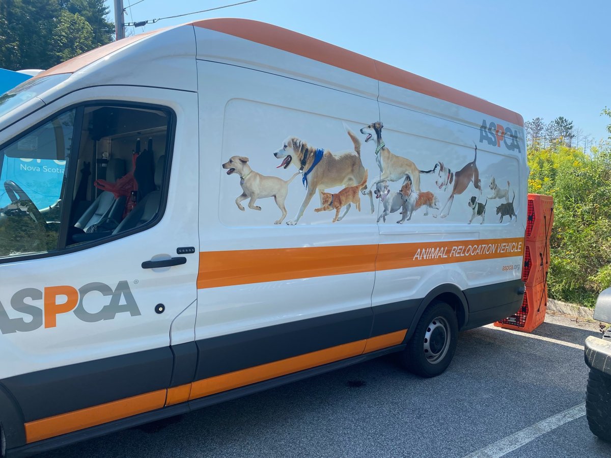 Nova Scotia SPCA launches ‘life-saving’ transport program to bring in ...