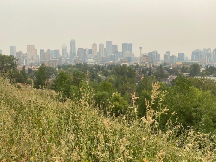 Air quality advisories issued across Alberta due to wildfire smoke ...