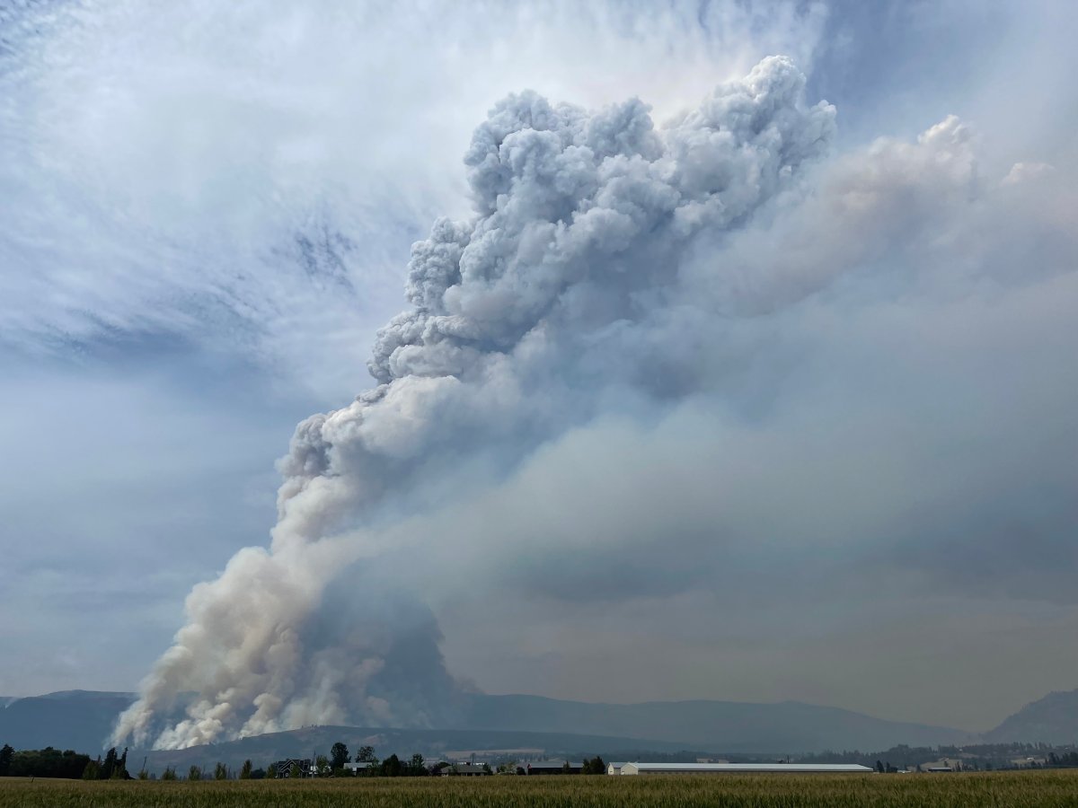 IN PHOTOS: Enormous column of smoke rises from White Rock lake wildfire ...