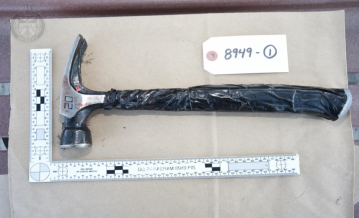 ISIS supporter pleads guilty to killing Toronto woman with hammer ...