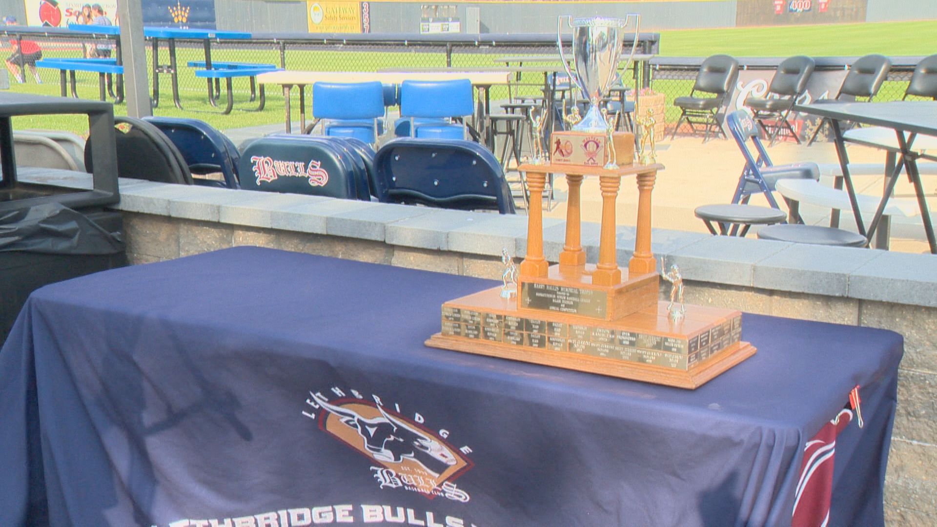‘It feels awesome’: Lethbridge Bulls win 2021 Western Canadian Baseball ...