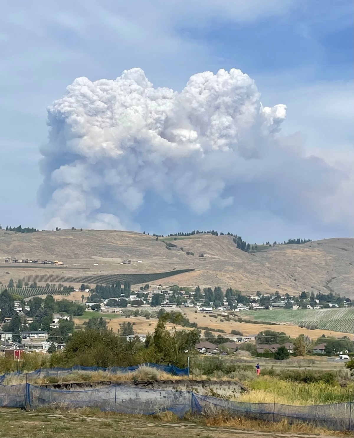 Officials warn of smoke from planned ignition near White Rock Lake ...