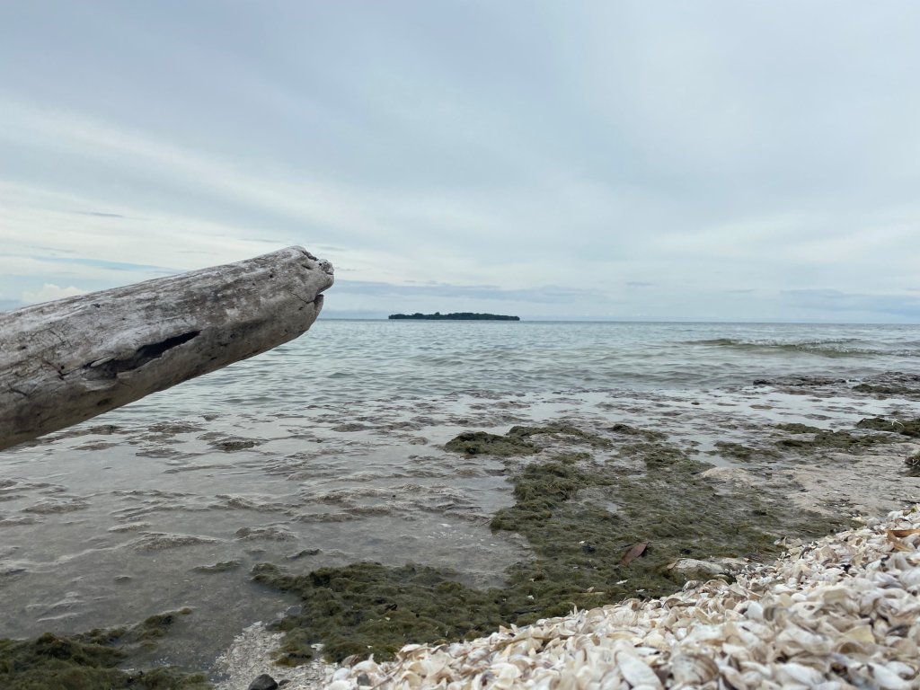 ‘Strange things out there’: Inside Lake Ontario’s ‘Bermuda Triangle ...