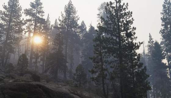 Wiarton, ON Weather | Forecast Conditions - Weather Predictions & Radar