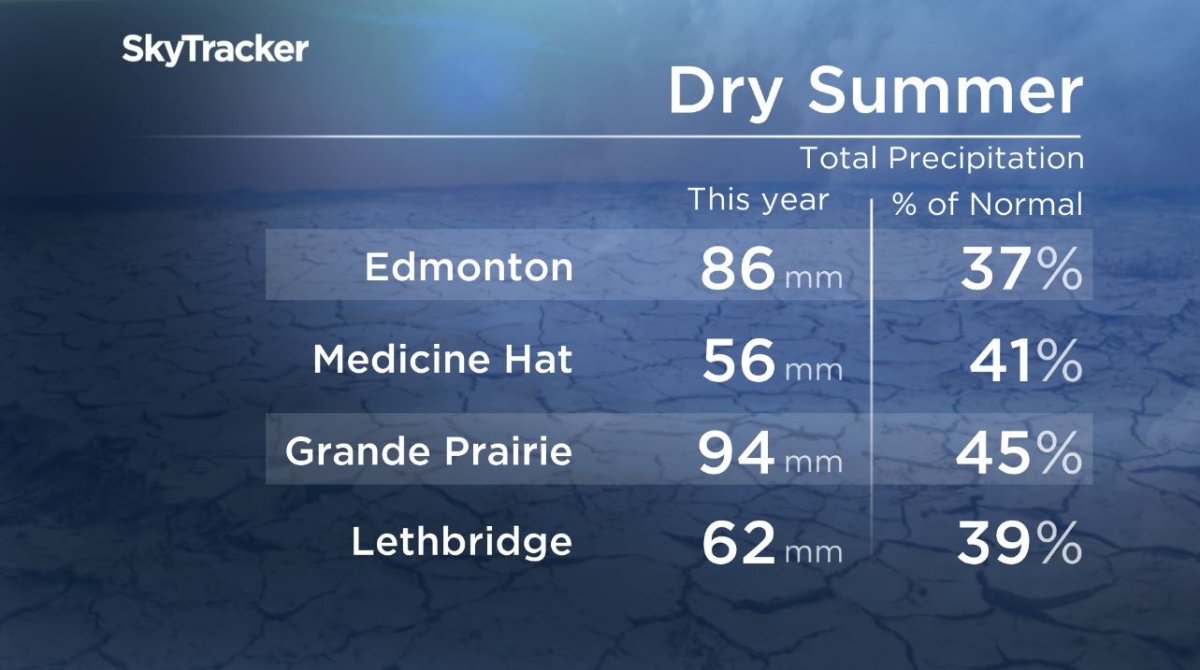 ‘Normal’ autumn expected after one of the hottest summers ever in ...