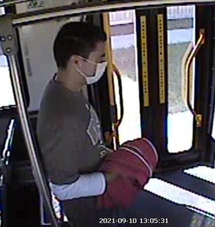 Robbery on Winnipeg Transit bus left young woman injured - Winnipeg ...