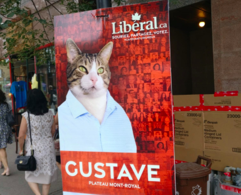 Fake cat election campaign posters in Montreal go viral - Montreal ...