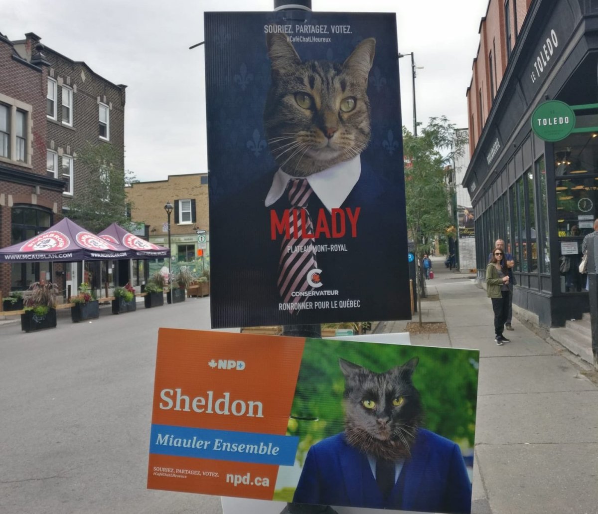 Fake cat election campaign posters in Montreal go viral - Montreal ...