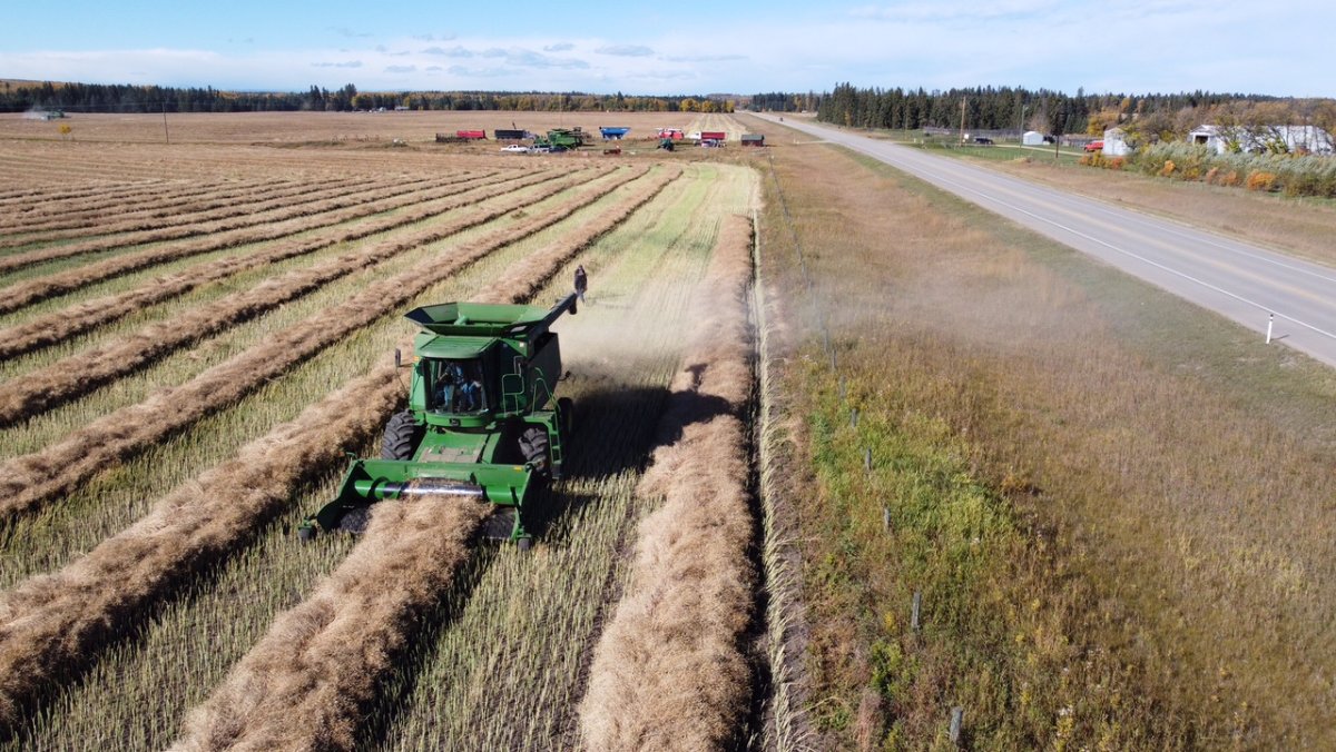 Neighbours unite to help 77-year-old farmer who was run over on Alberta ...