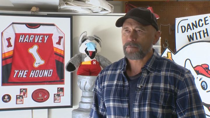 Calgary Flames mascot Harvey the Hound in running for Mascot Hall of ...