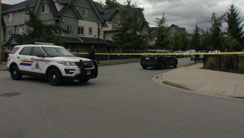 Watchdog clears Richmond RCMP officers who shot knife-wielding man ...