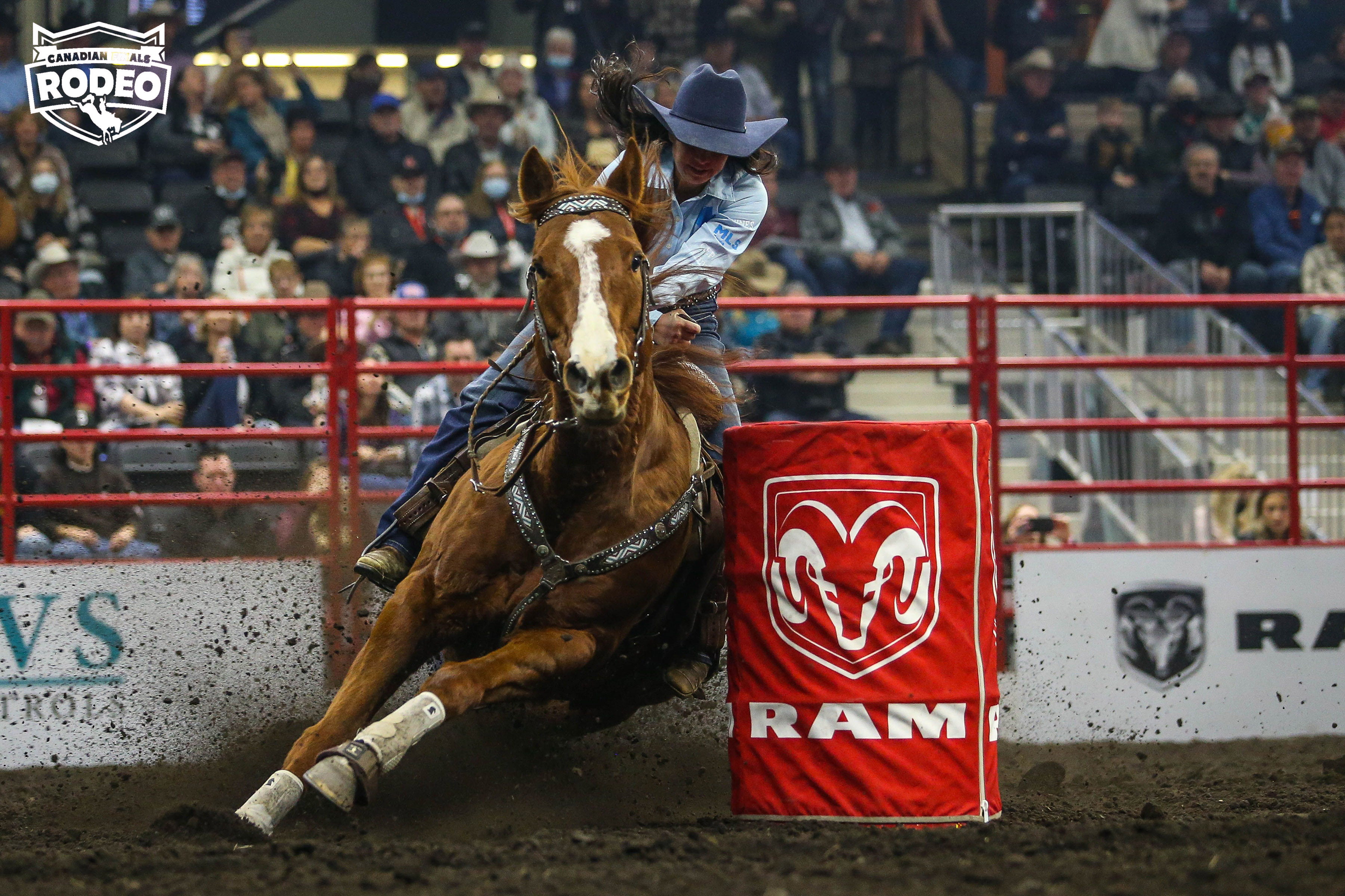 Canadian Finals Rodeo brings action, economic boost back to Red Deer ...