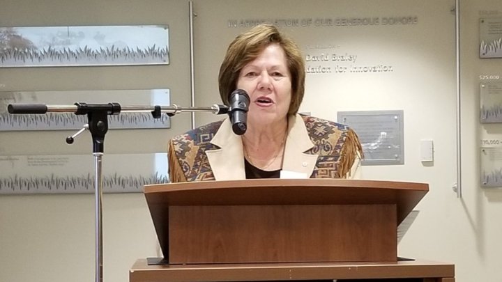 Pat Mandy takes helm as chair of Hamilton Police Services Board ...