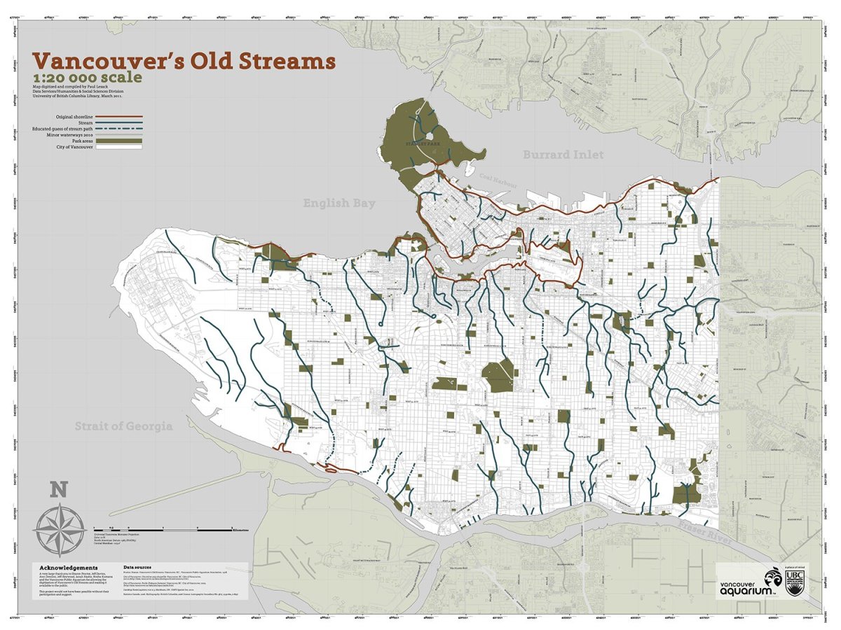 What can a ‘sponge’ teach us about building resilient cities? Turns out ...