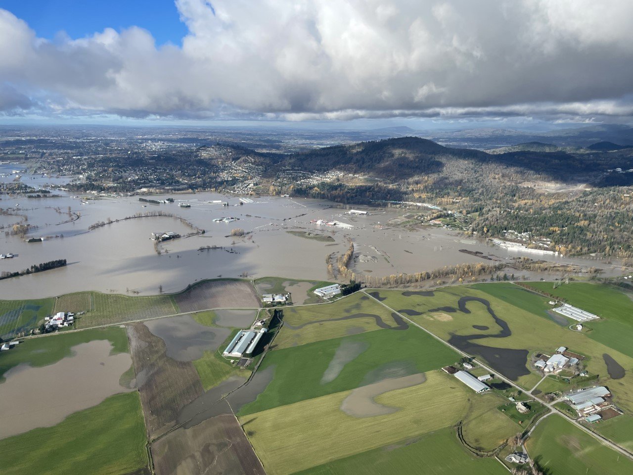 Effects Of Floods On Animal Husbandry And Agriculture