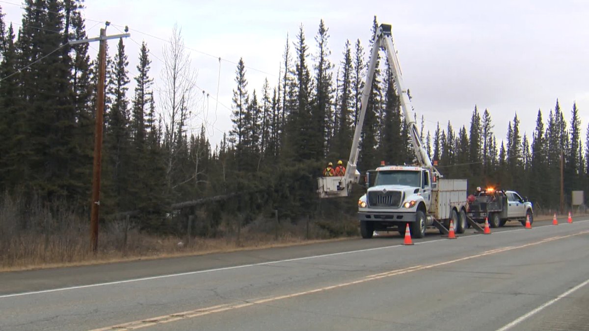 One dead after overnight winds knock out power, fell trees in areas of ...