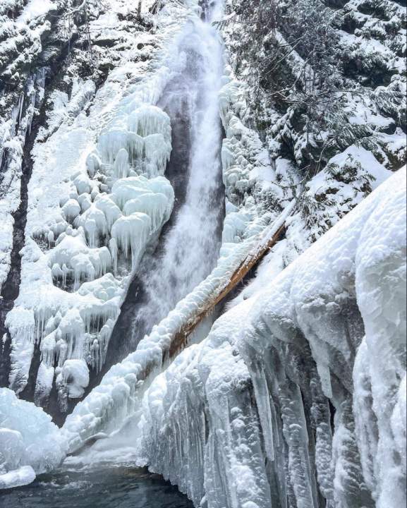 Photos: Snowfall transforms Lower Mainland into a winter wonderland ...