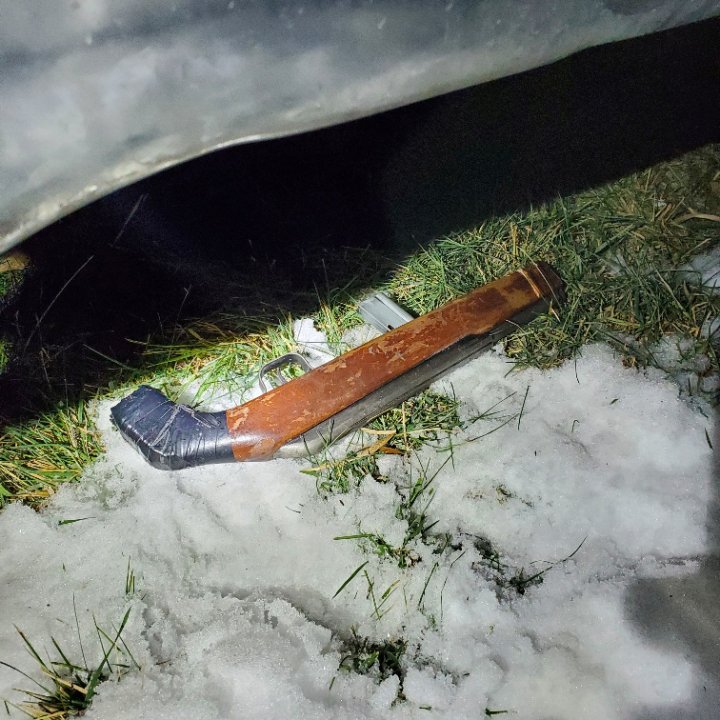 Police dog helps Manitoba RCMP track down sawed-off shotgun - Winnipeg ...